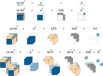 Binomial Coefficient Calculator - There is a way to find Binomial ...